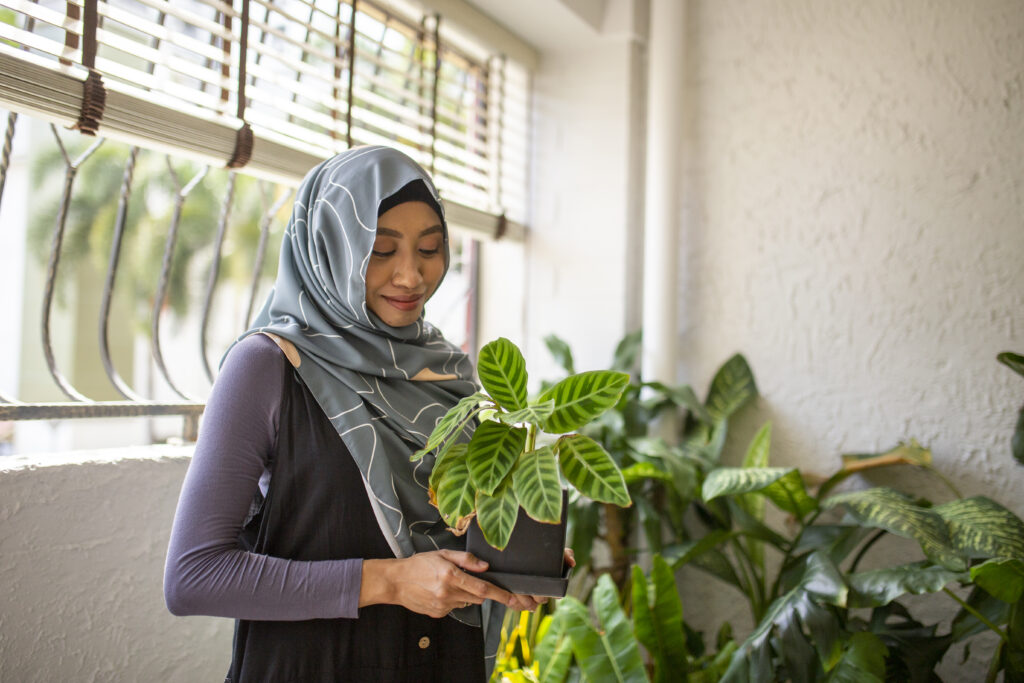 confessions of a plant mama: bringing nature indoors. - futr singapore