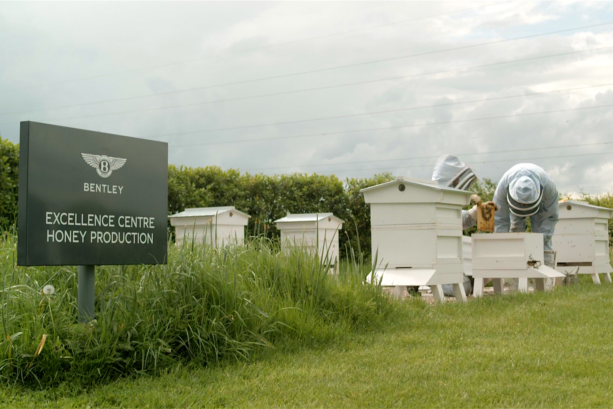 Bentley's honey production reaches one million bees. - futr singapore