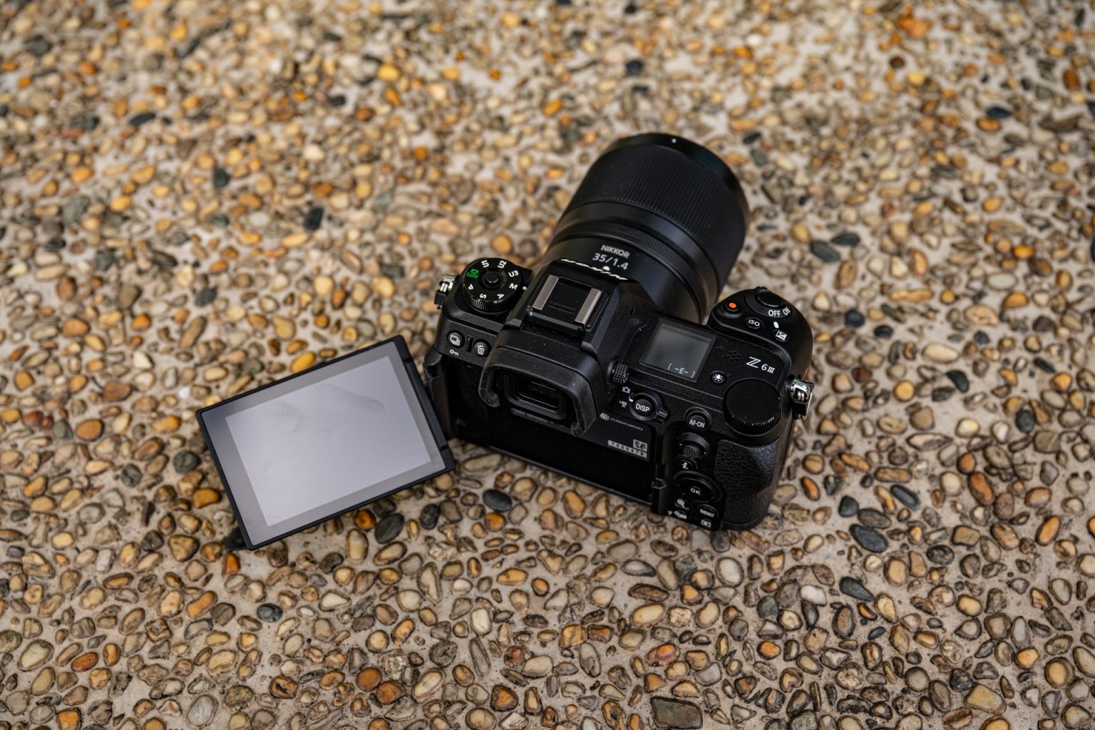 Nikon Z6 III Review: A Strong All-Rounder, Do-Anything Camera. - futr ...